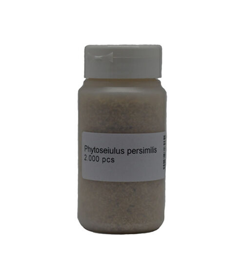 Spint bestrijden met roofmijten correctief