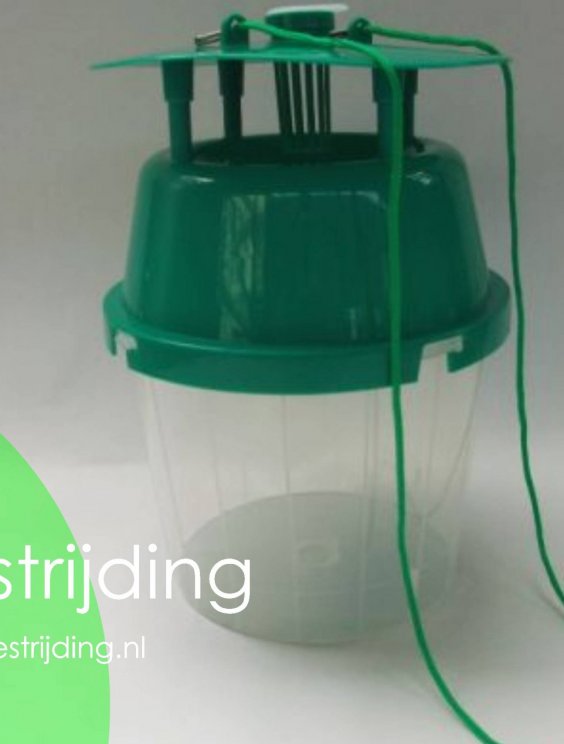 Feromoonval voor Buxusmot (incl. 2 capsules) - Biobestrijding