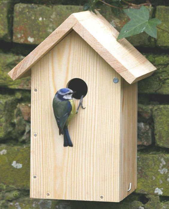 Bouwpakket nestkastje voor mezen - Biobestrijding