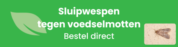 Bestrijding van voedselmotten - met sluipwespen