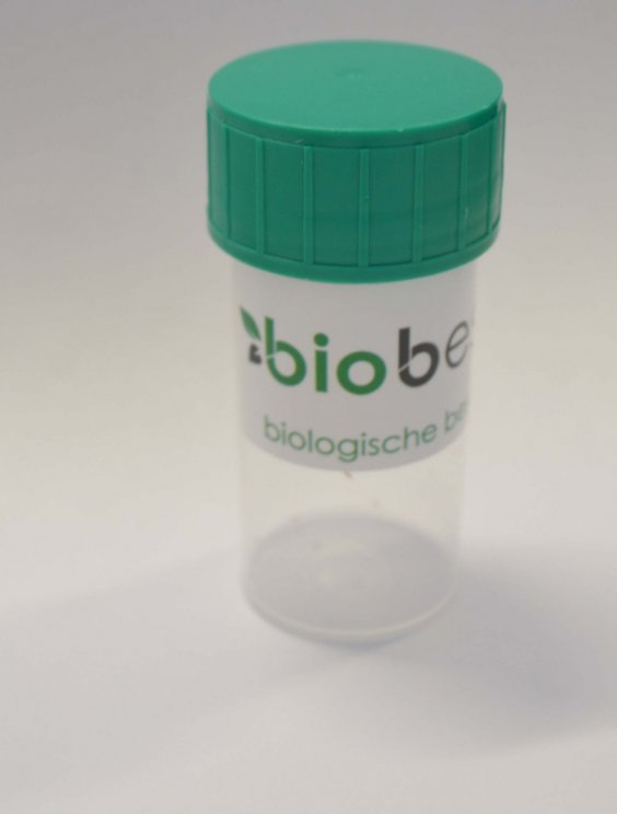 Dopluis bestrijden met sluipwespen - Biobestrijding