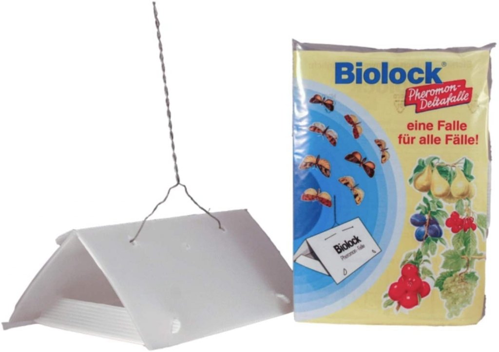 Feromoonval voor fruitmot