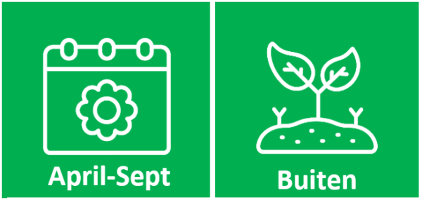 Feromoonval voor de pruimenmot
