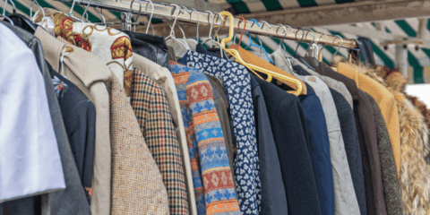 Bestrijding van kledingmotten | Effectieve tips en oplossingen